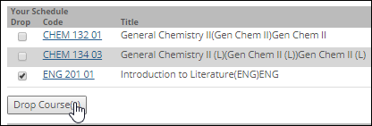 Add/Drop Courses Feature